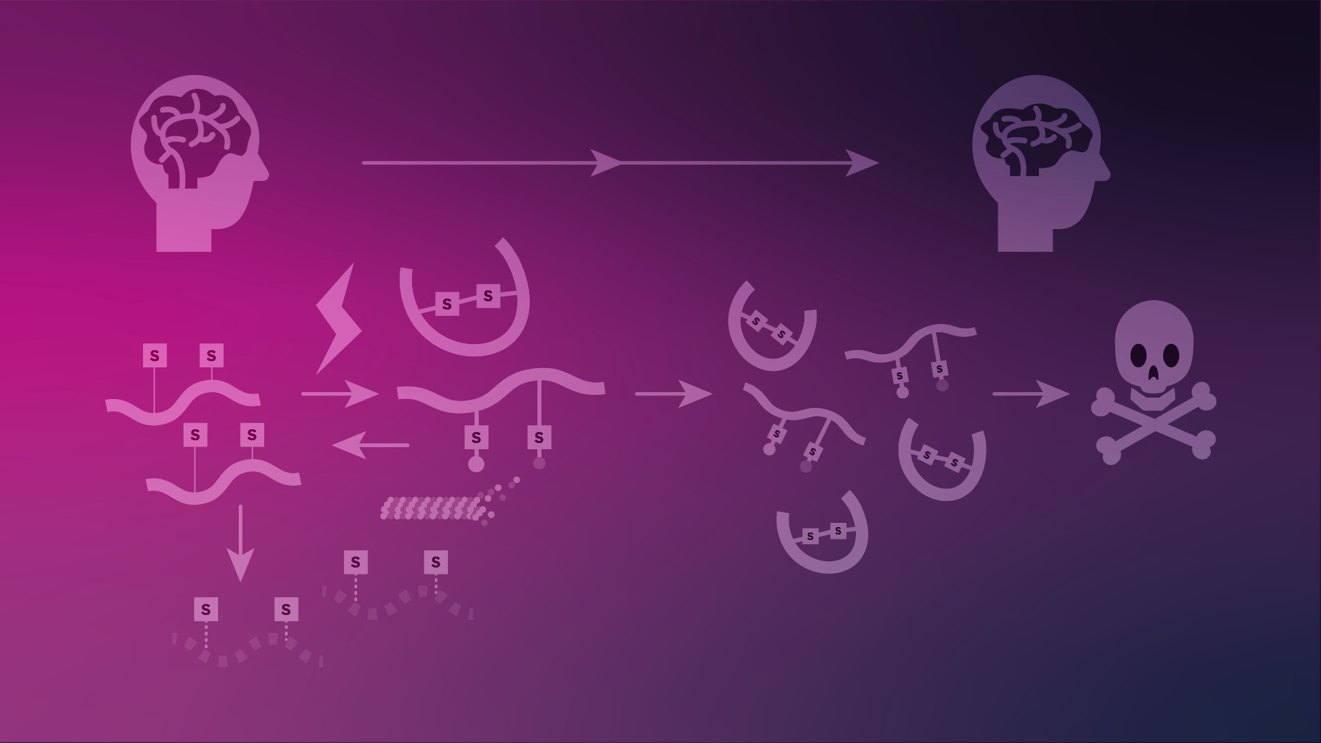Protein-Ligand Interaction
